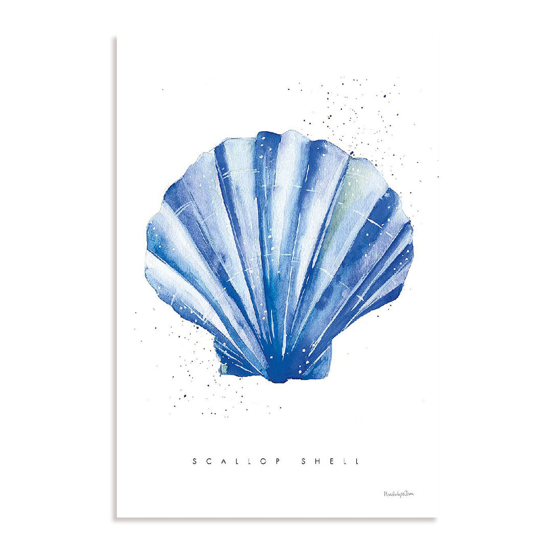 Scallop Shell Wall Art – Artey Wall Art